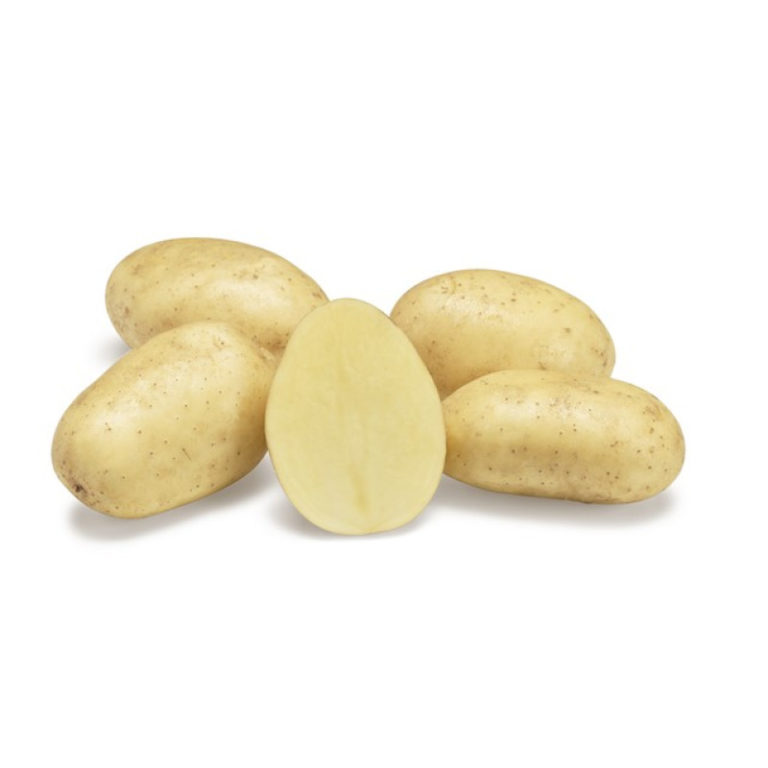 Sadbové zemiaky Paradiso 5kg - ZÁHRADAcentrum
